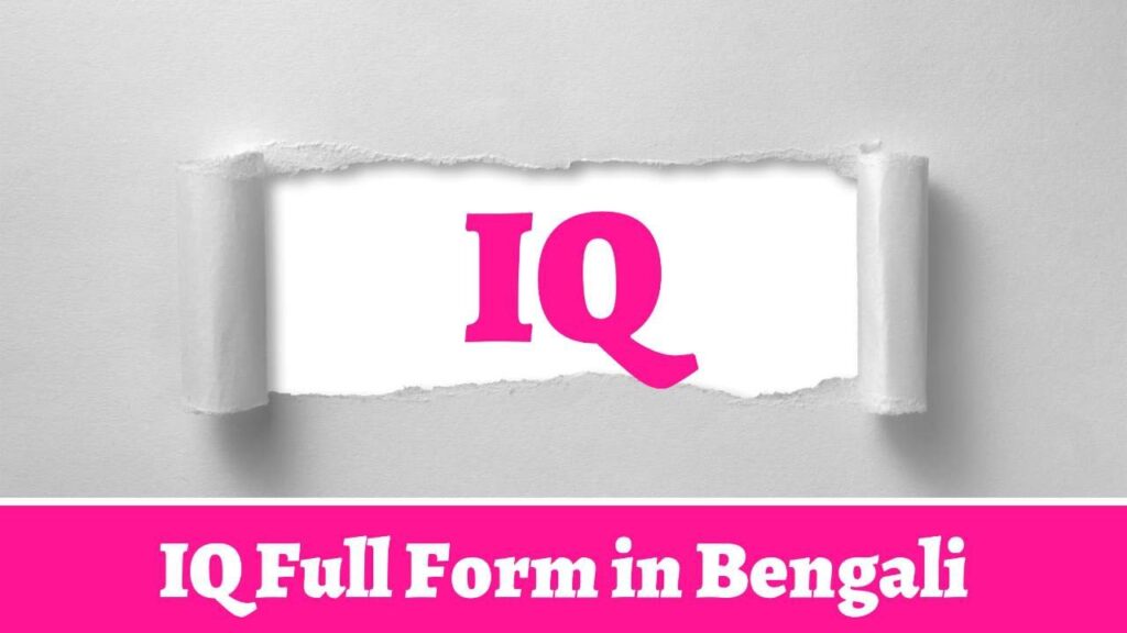 IQ Full Form in Bengali - IQ এর পূর্ণরূপ কি? - Bangla